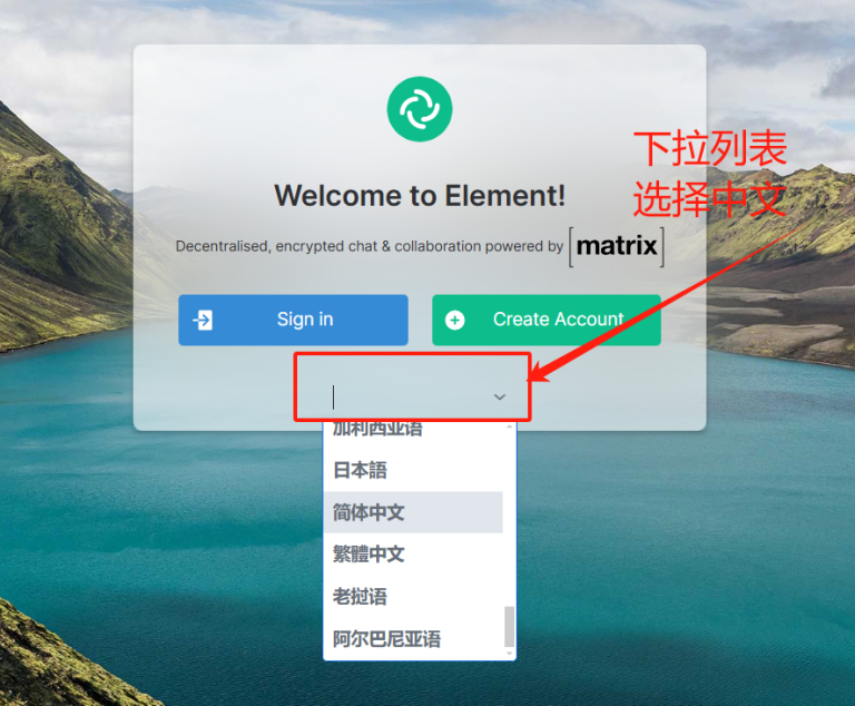 简单搭建端到端加密的聊天室Element基于Matrix协议的开源即时通讯应用-莱卡云